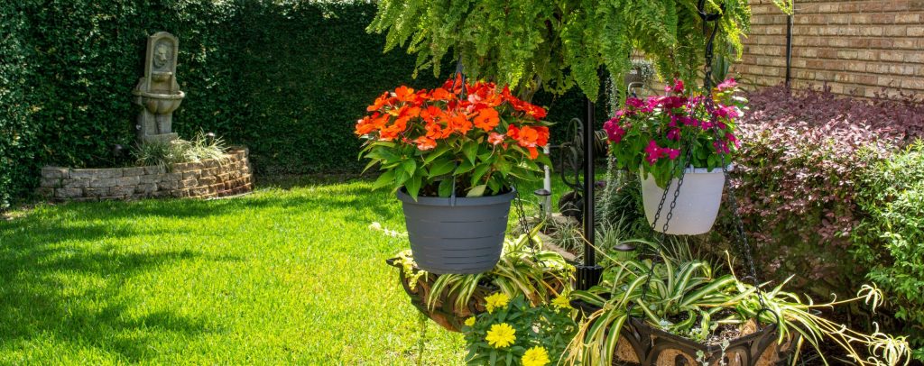 3-Plant Railing and Wall Bracket Kit – The Plant Tree – For all Plant ...